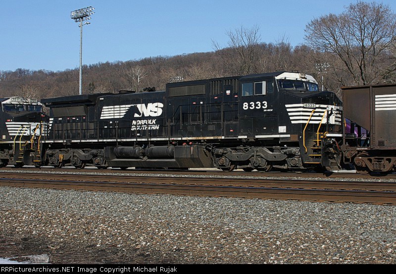 NS 8333